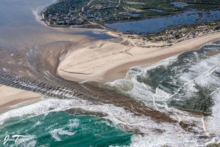 Activity of Botfriends 2020 - Greenheart conservation organisation