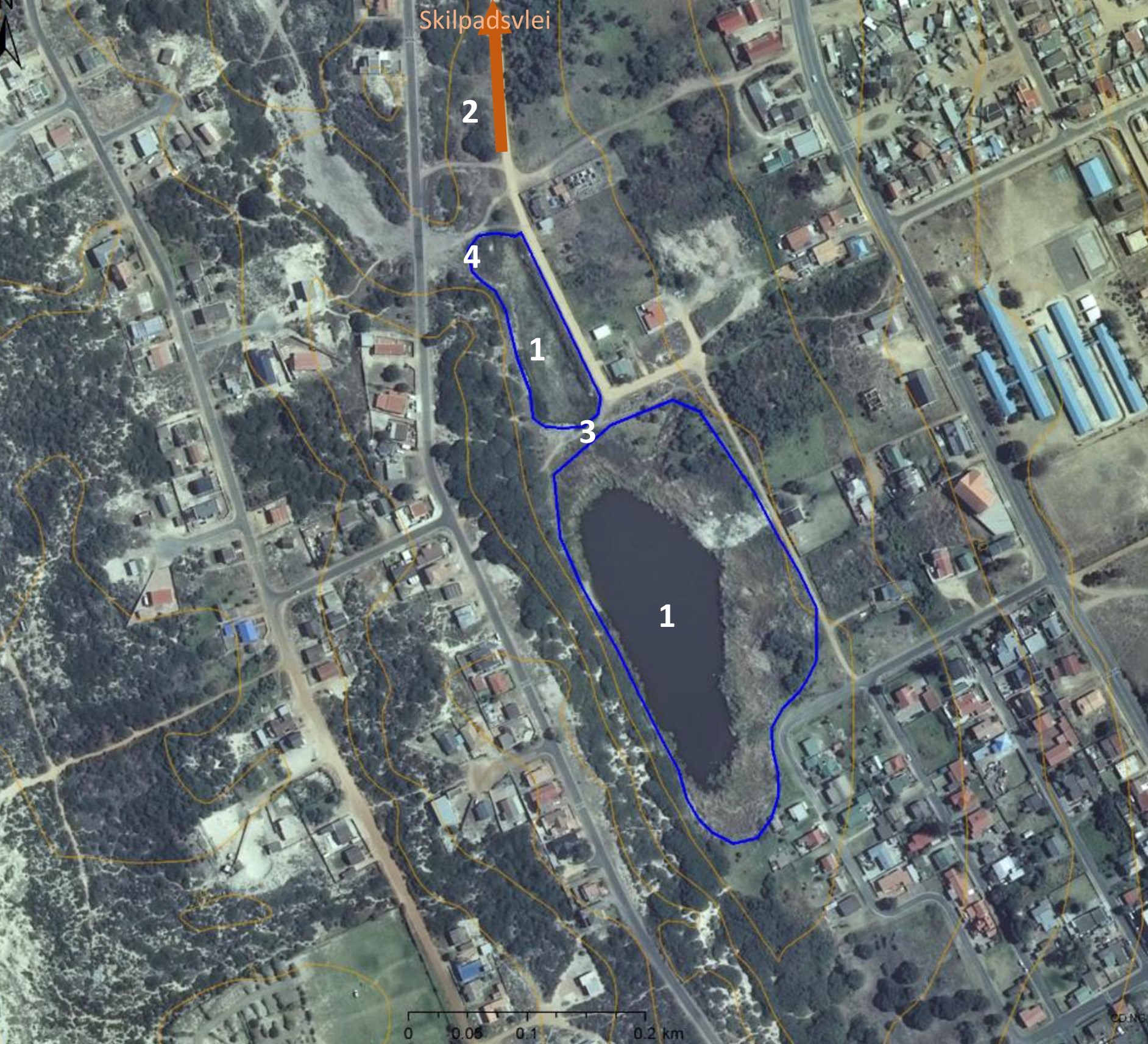 Notes on the Paddavlei in Hawston - Greenheart